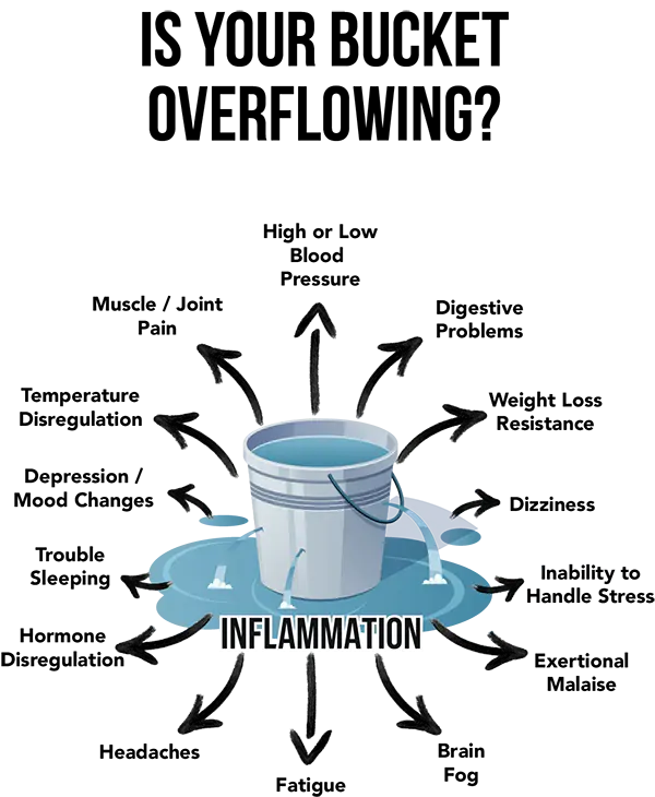 Joinnow.Live Webinars